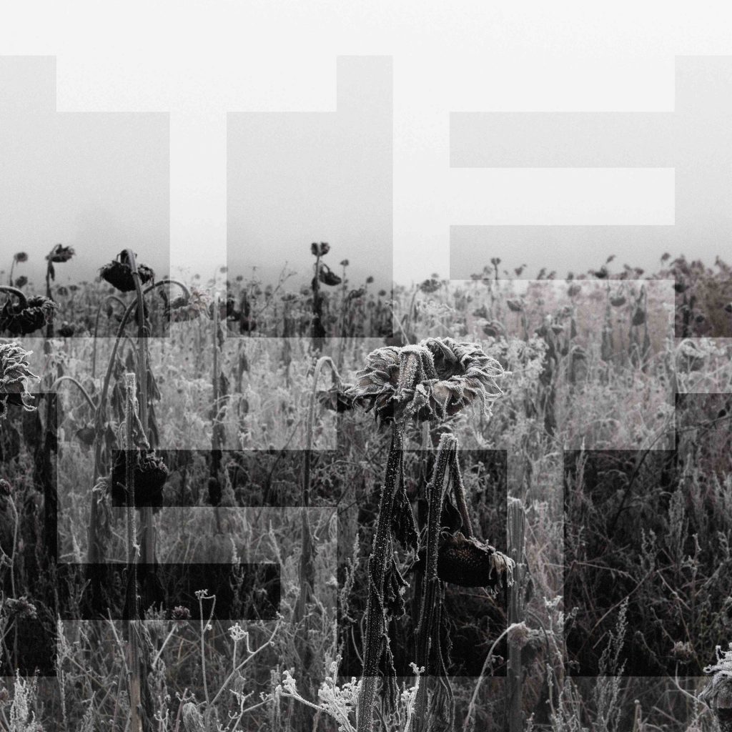 TESTSET、新曲「Deleter」を7月30日（水）に配信リリースすることを発表と共にティザー試聴映像を公開。今週末開催の ...